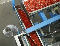 Food Processing Equipment: The Search For The Ideal Conveyor | Food ...