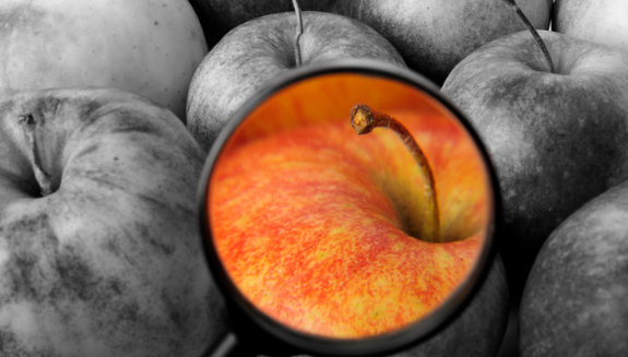 How Mars is Taking on Food Integrity, Food Fraud and Adulteration ...