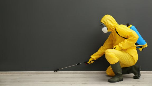 Pest Prevention Strategies & The Future of Pest Management | Food ...