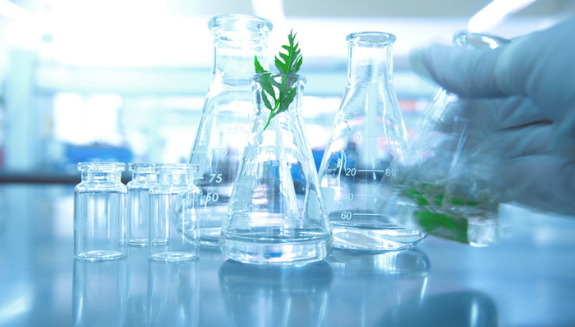 Taking A Deeper Dive into Some Truly Alternative Proteins | Food Processing