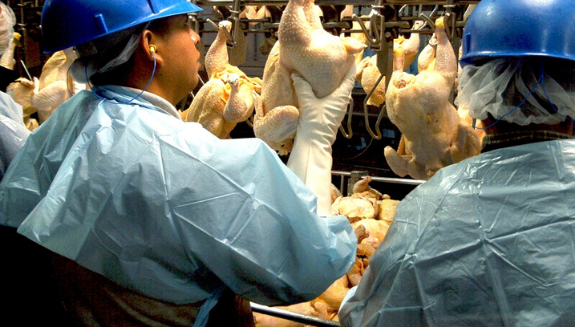 2020 Processor of the Year: Plant Operations at Perdue Farms | Food ...