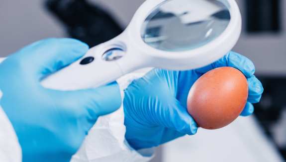 Egg Industry Prepares for New Safety Rules | Food Processing