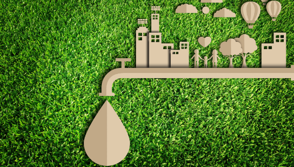 Green Washing Saves Water | Food Processing