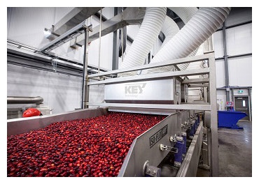 Case History: New Cranberry Cleaning Line at Emblème Bears Fruit | Food ...