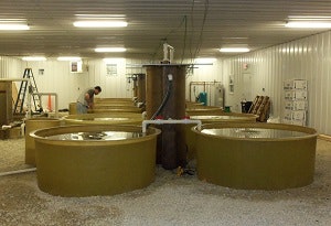 Fish, Poultry and Meat Processing All Offer Opportunities and ...