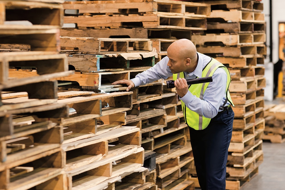 How to Keep Pests Out of Your Manufacturing Facility | Food Processing