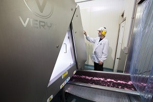 Key Technology Offers Digital Berry Sorters | Food Processing