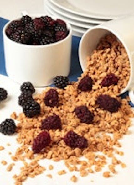 Ingredients: Freeze-dried Blackberries from Van Drunen Farms Available ...