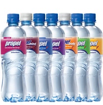 PepsiCo Inc. | Food Processing