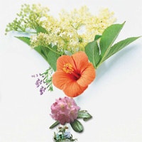 New Foods | New Floral Flavors Are Subtle and Add Aromatic ...