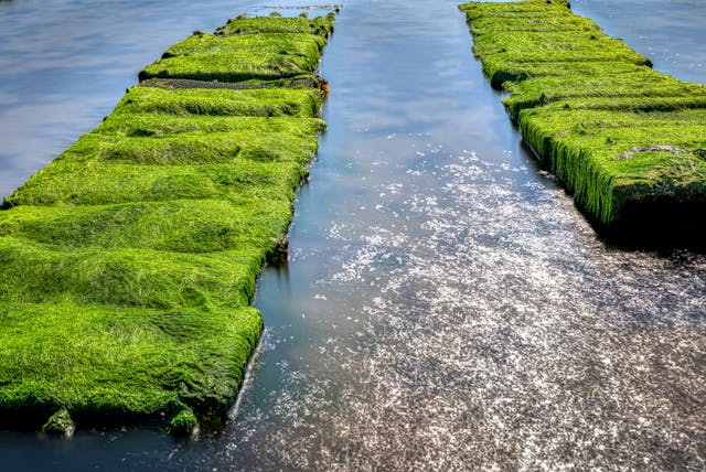 10 Ingredients With Benefits You'll Want to Add to your Product ...