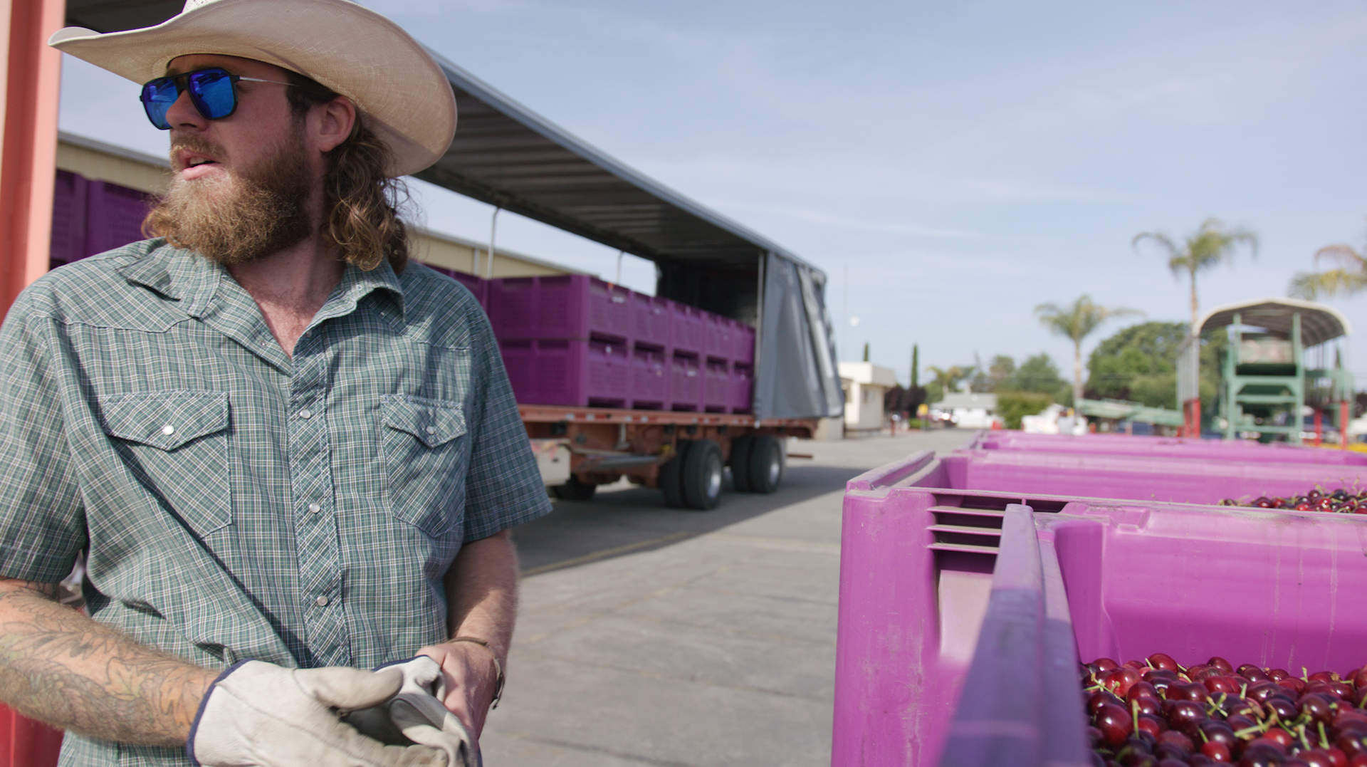 Upcycled Dried Fruit Snacks Processor The Ugly Co. Opens New Plant ...