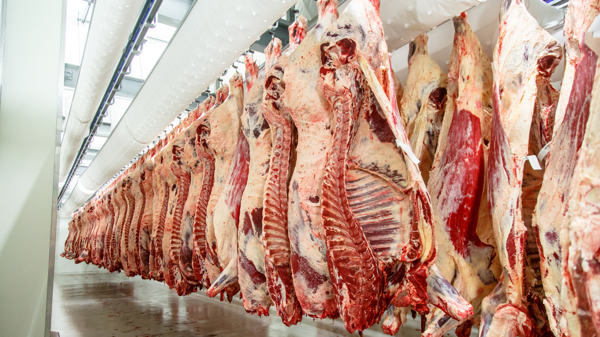 USDA-FSIS Will Begin Exploratory Sampling Program for Antibiotics ...