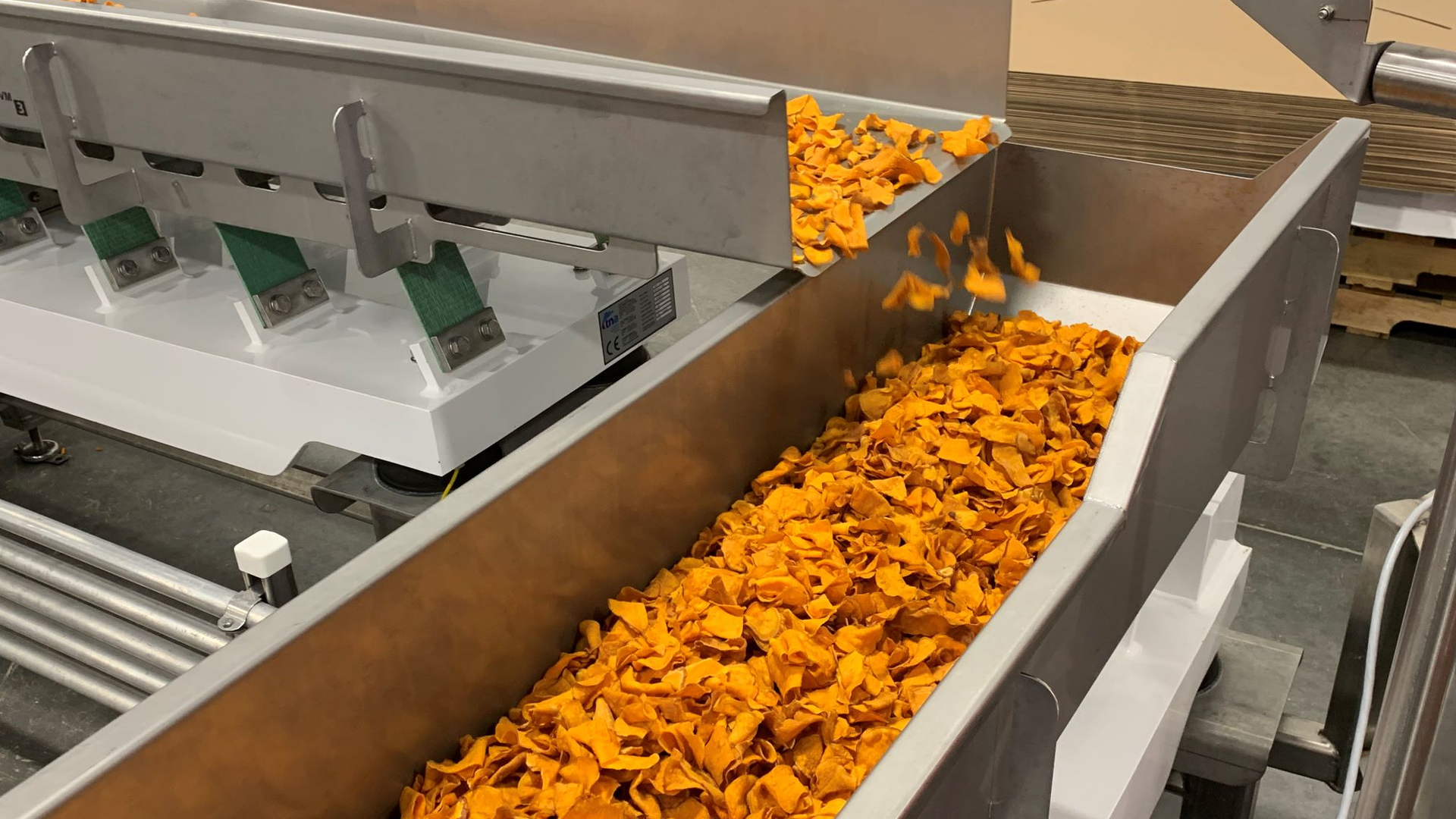 Sweet Potato Kettle Chips Processor Adding Two High-Speed Lines in ...