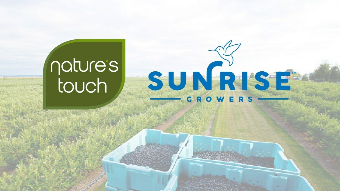 Nature’s Touch Acquires Frozen Fruit Operations From SunOpta | Food ...