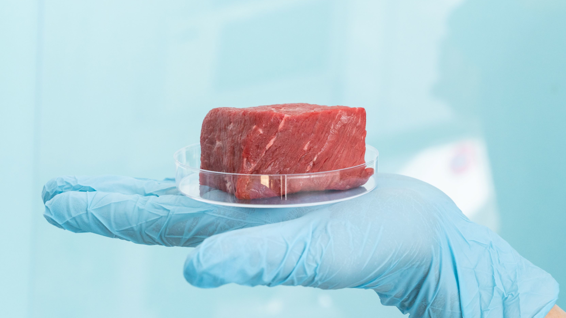 Florida Legislator Proposes Ban on Cultured, Lab-Grown Meat in the ...
