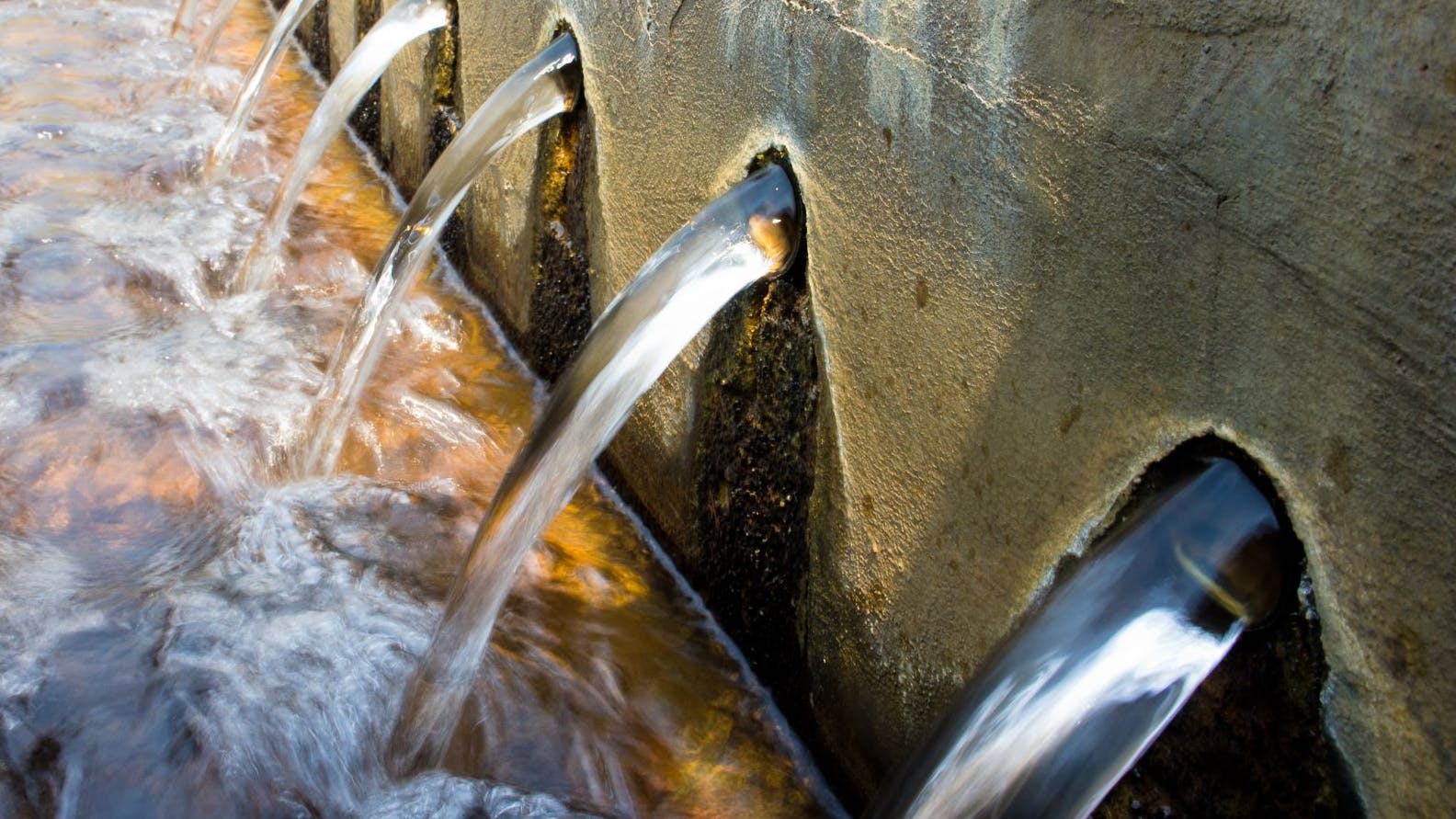 Missouri Prime Beef Packers Will Close Pleasant Hope, Missouri, Plant ...