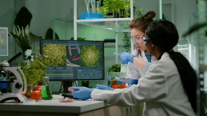 Take Food Processing's Annual R&D Survey | Food Processing