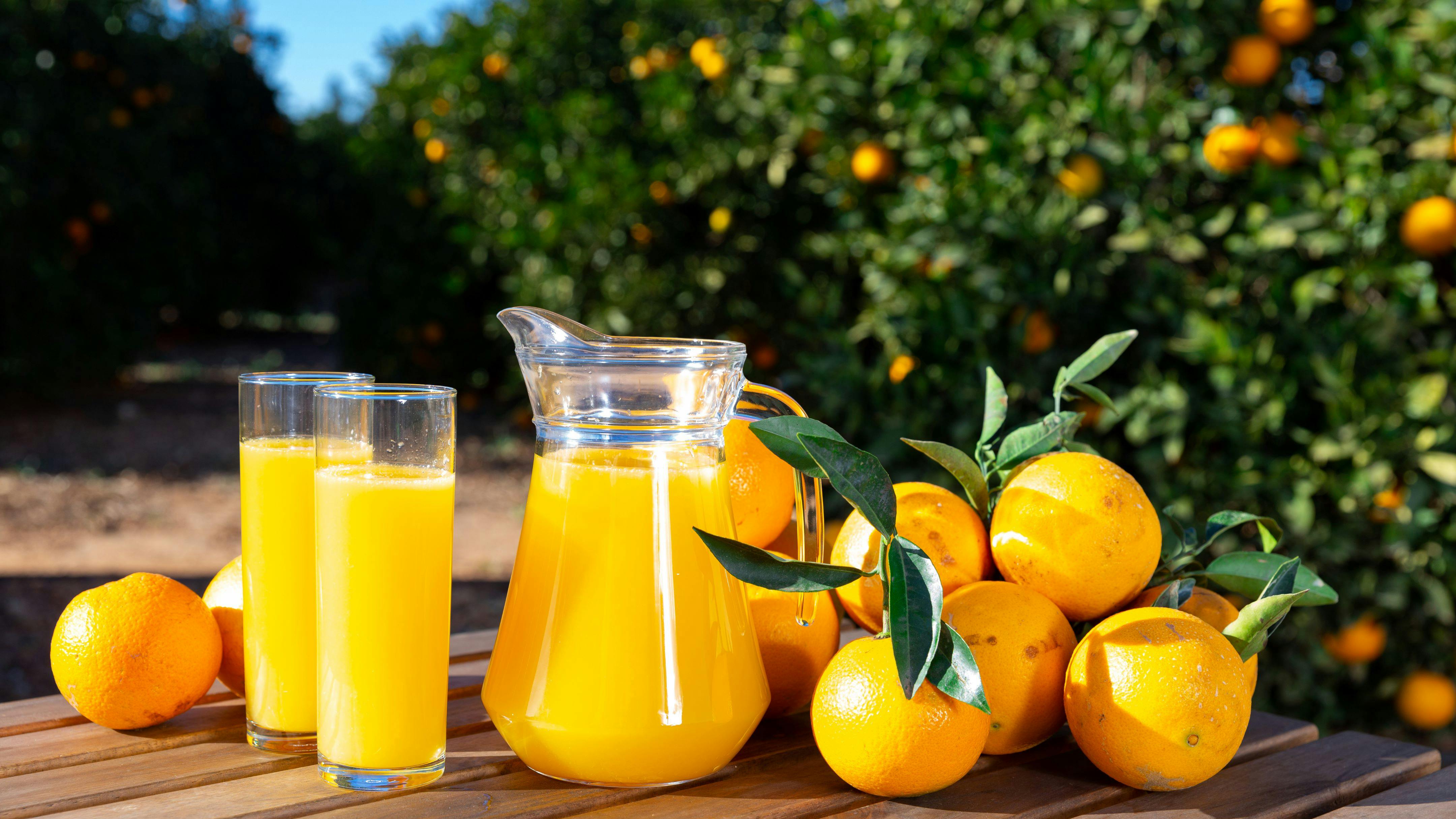 FDA Proposal: Lower Orange Juice’s Minimum Brix Level (Sugar Content ...