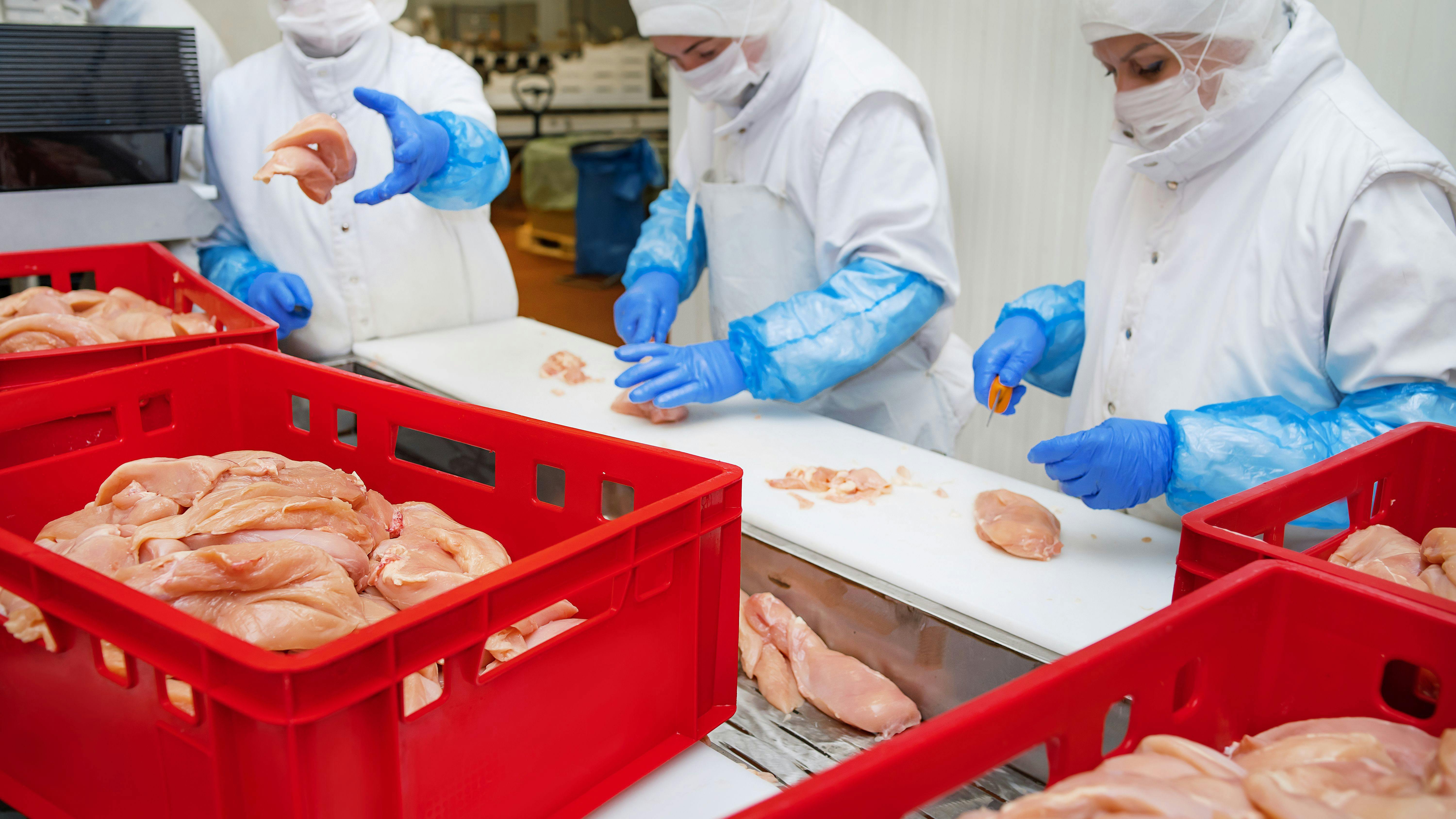 Worker Safety Requires Consistent Commitment | Food Processing