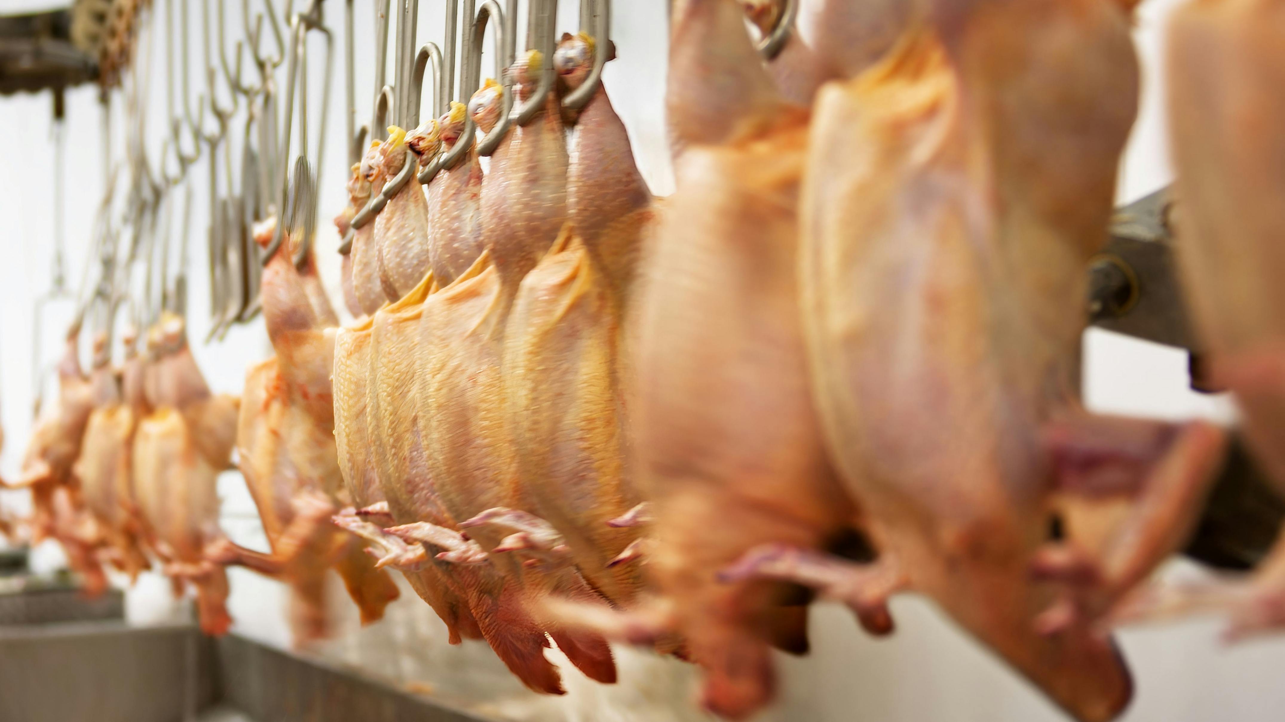 Wes Morris Returns to Tyson Foods to Become COO | Food Processing