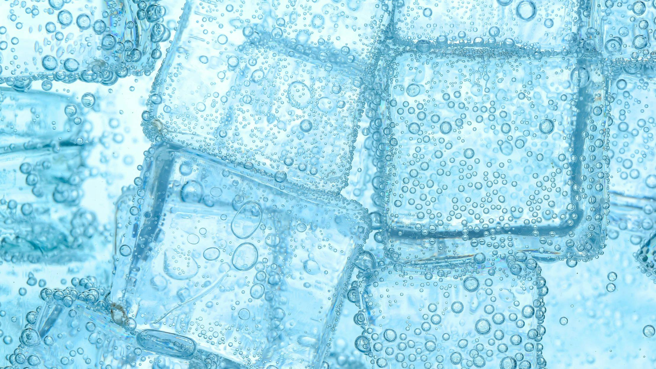 Zevia Appoints Board Member to President & CEO Post | Food Processing